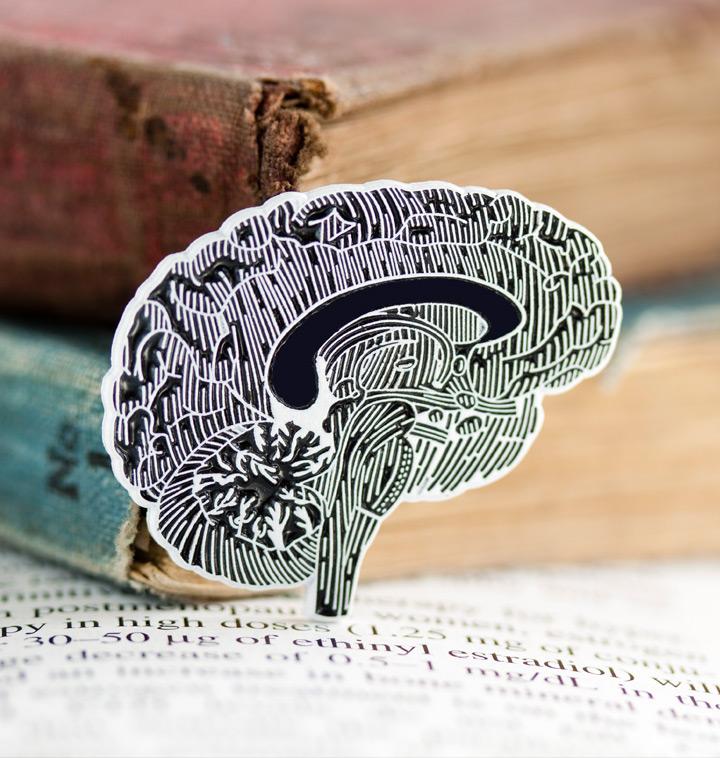 Anatomical brain enamel pin - Codex Anatomicus