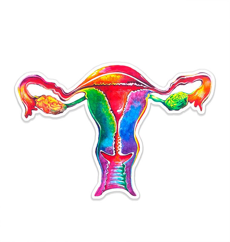 Uterus anatomy sticker - Codex Anatomicus