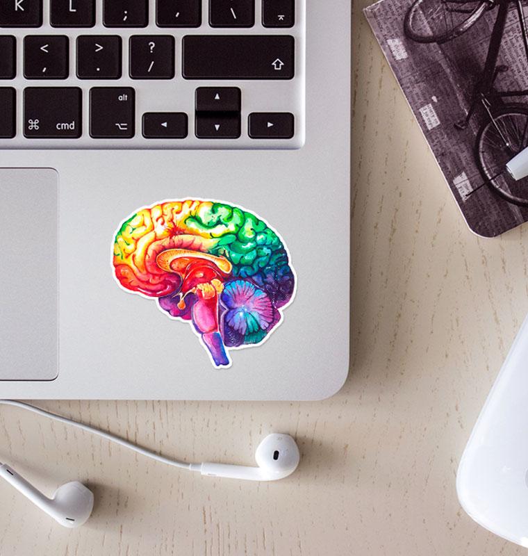 Brain anatomy sticker - Codex Anatomicus