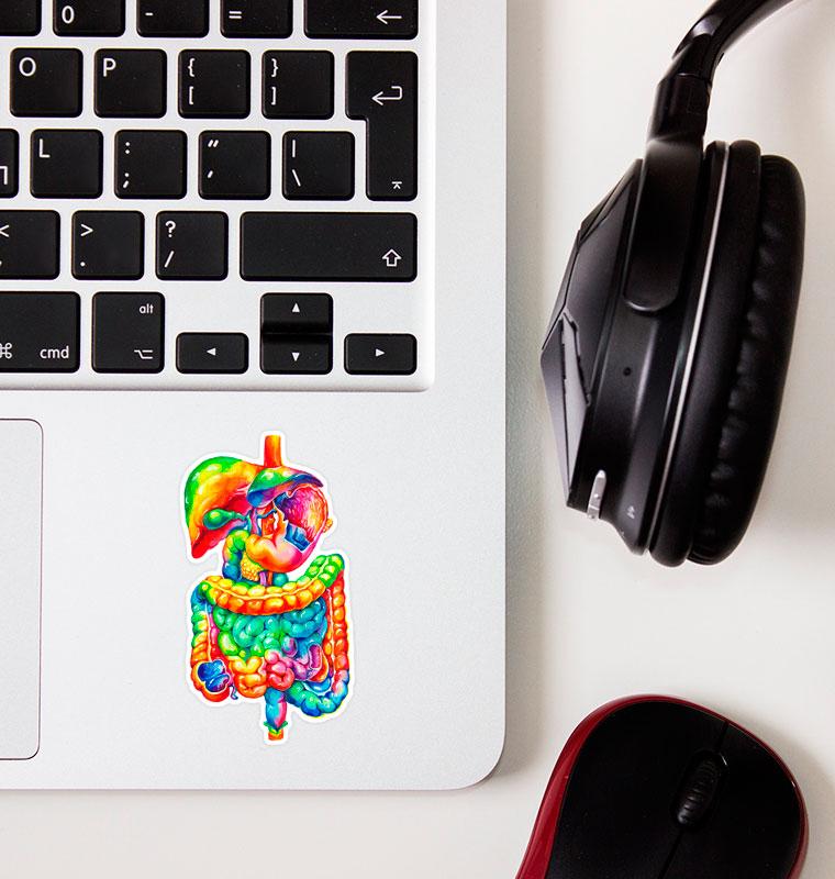 Digestive system sticker - Codex Anatomicus