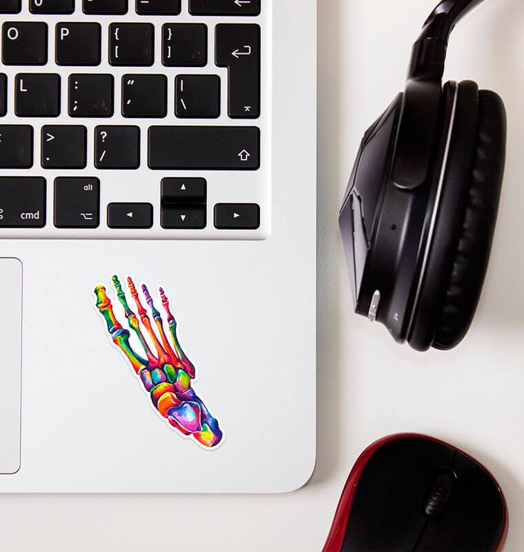 Foot anatomy sticker - Codex Anatomicus