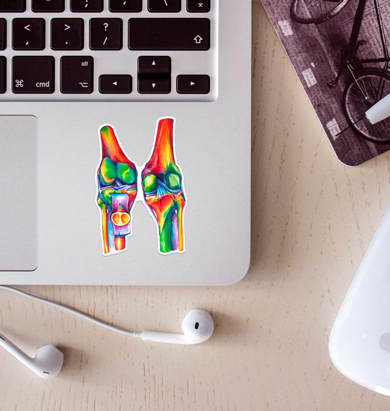 Knees anatomy sticker - Gifts for Nurses - Codex Anatomicus