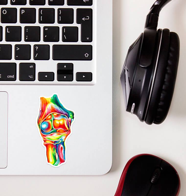 Elbow anatomy sticker - Codex Anatomicus