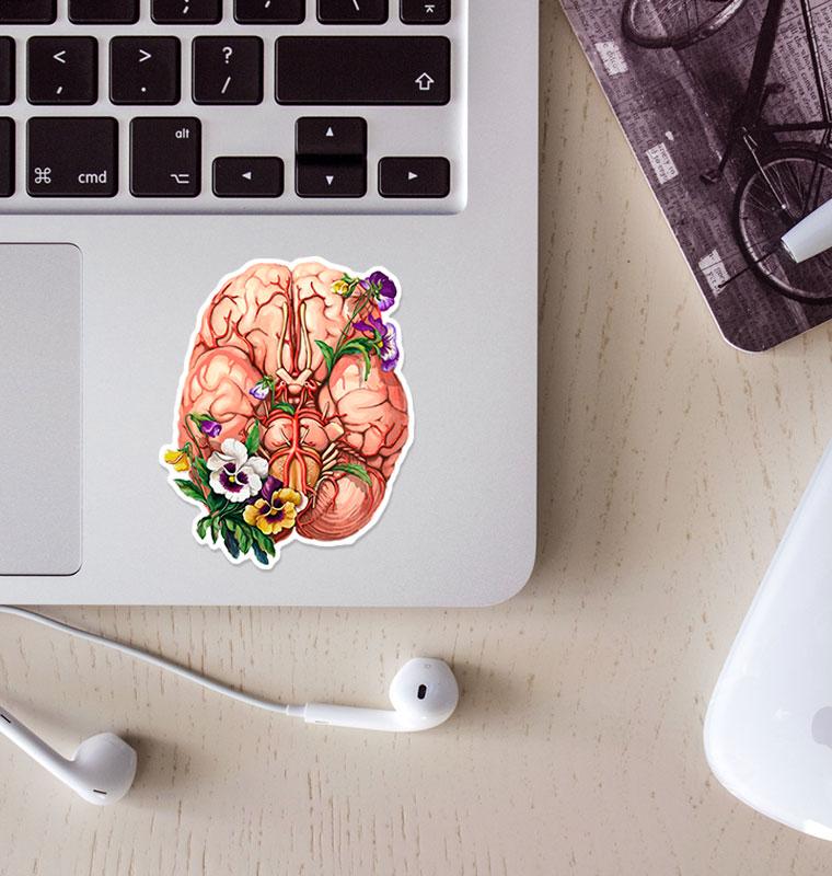 Brain anatomy sticker - Codex Anatomicus