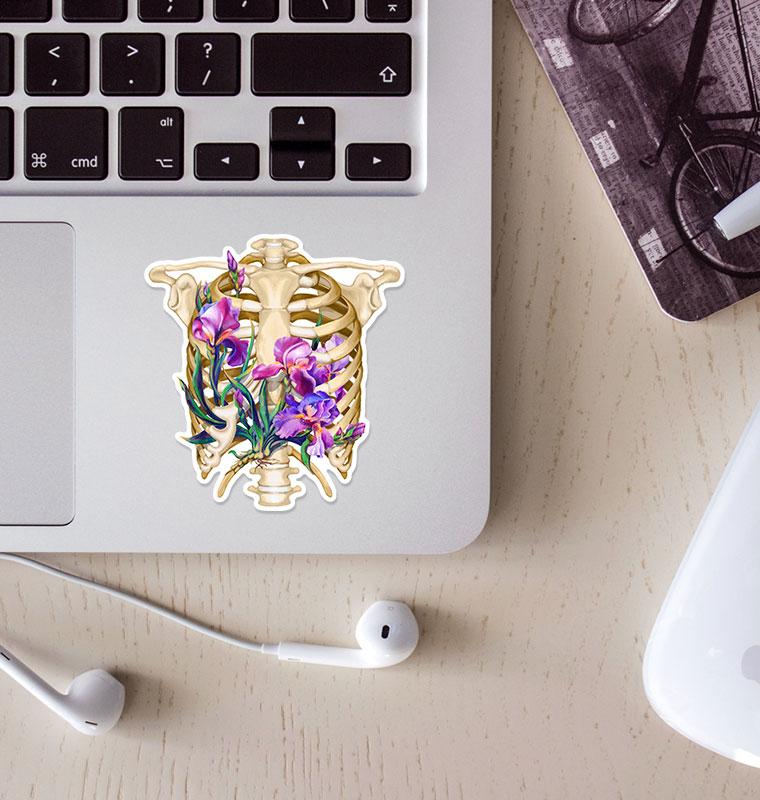 Rib cage anatomy sticker - Codex Anatomicus