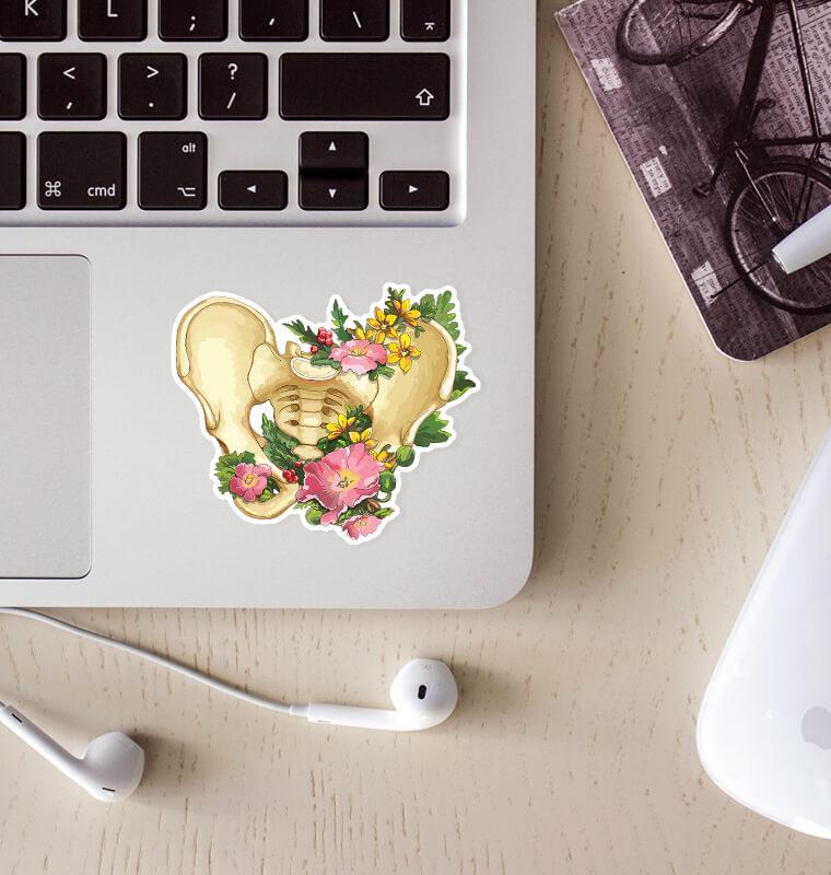 Pelvis anatomy sticker - Codex Anatomicus