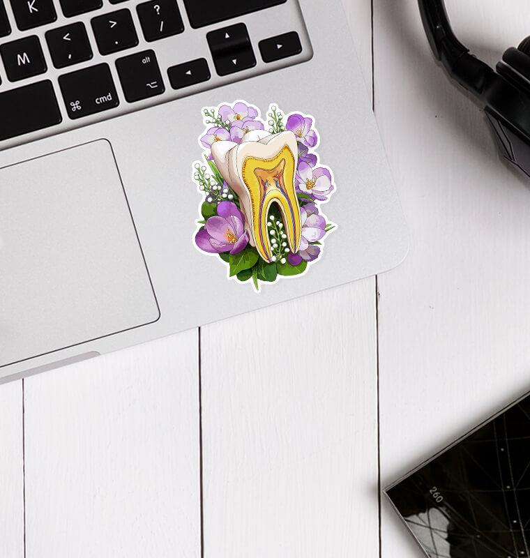 Tooth anatomy sticker - Codex Anatomicus