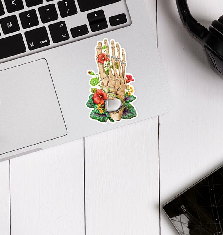 Foot bones anatomy sticker - Codex Anatomicus