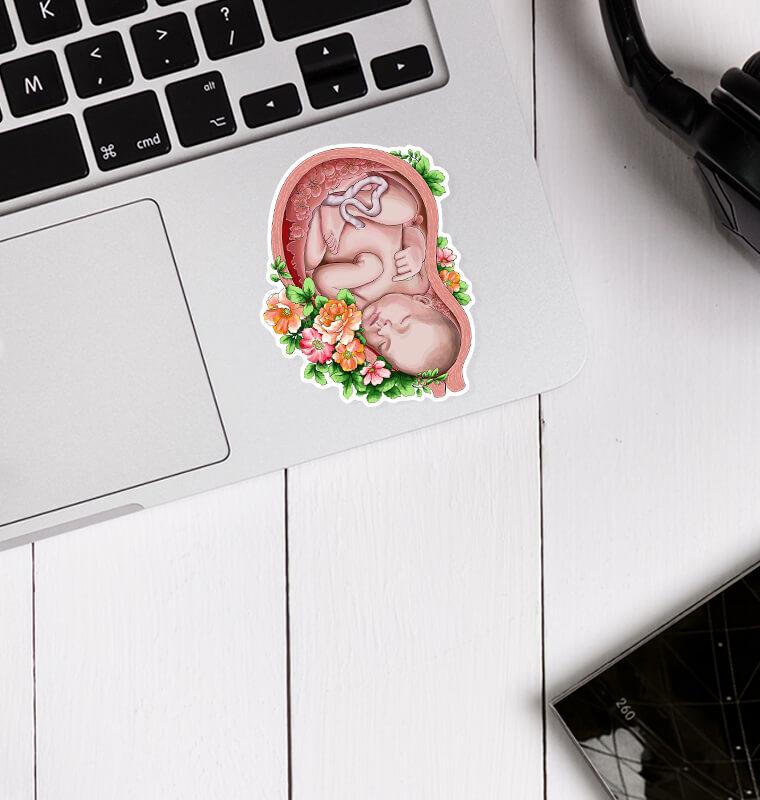 Fetus sticker - Codex Anatomicus