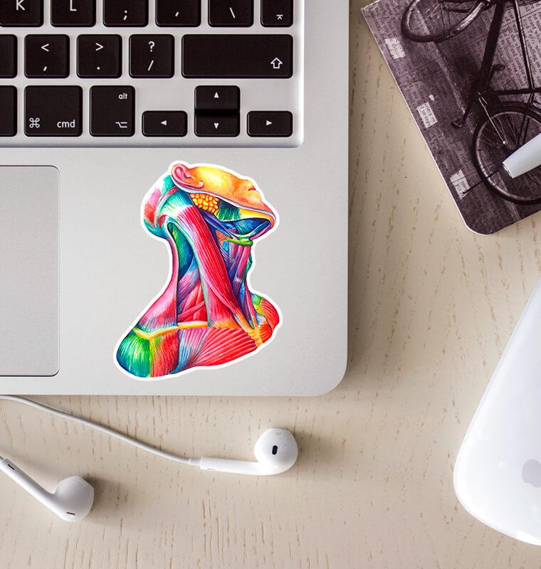 Neck anatomy sticker - Codex Anatomicus