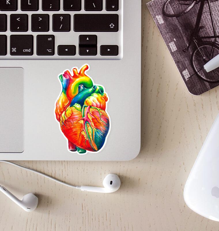 Heart anatomy sticker - Medical Gift - Codex Anatomicus