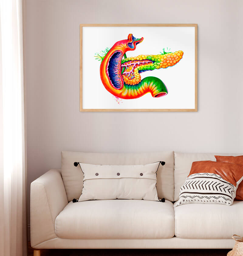Pancreas anatomy art print - Codex Anatomicus