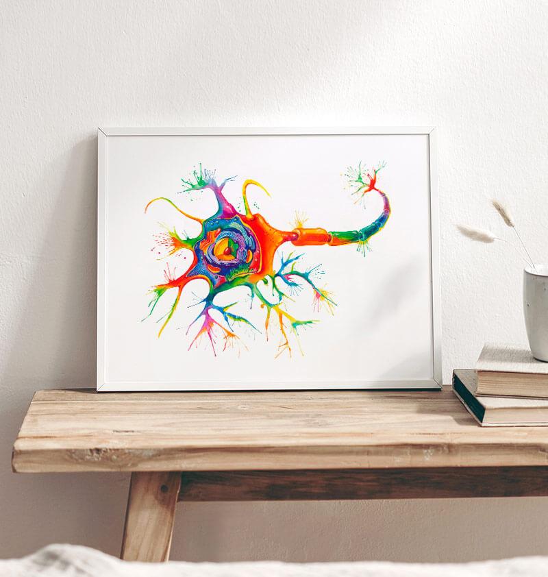 Neuron structure art print - Codex Anatomicus